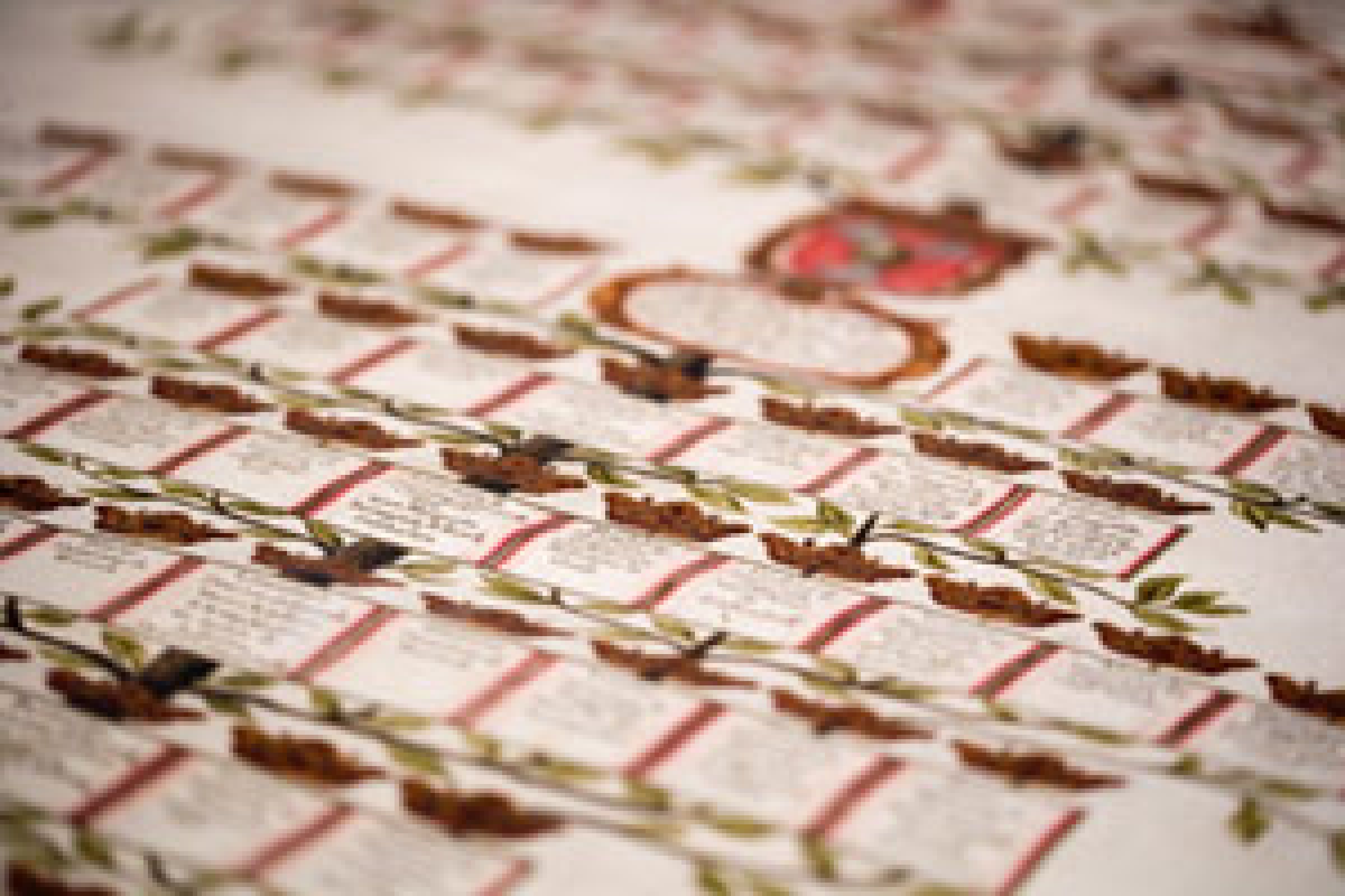 Family research (person-related research) – General information ...